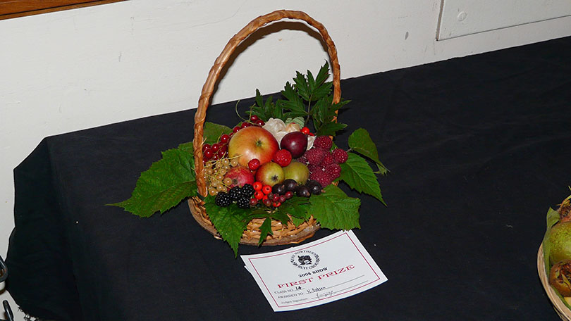 NFG Fruit Show – The Northern Fruit Group