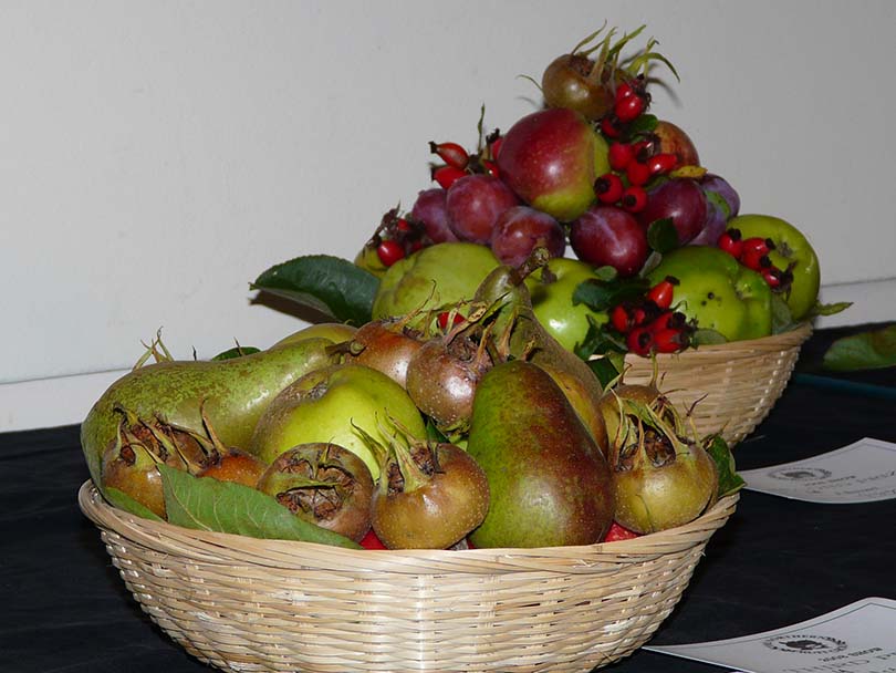 The Northern Fruit Group – Promoting Fruit Growing in the North of England